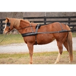 Horse Driving Harness And Equipment For Sale