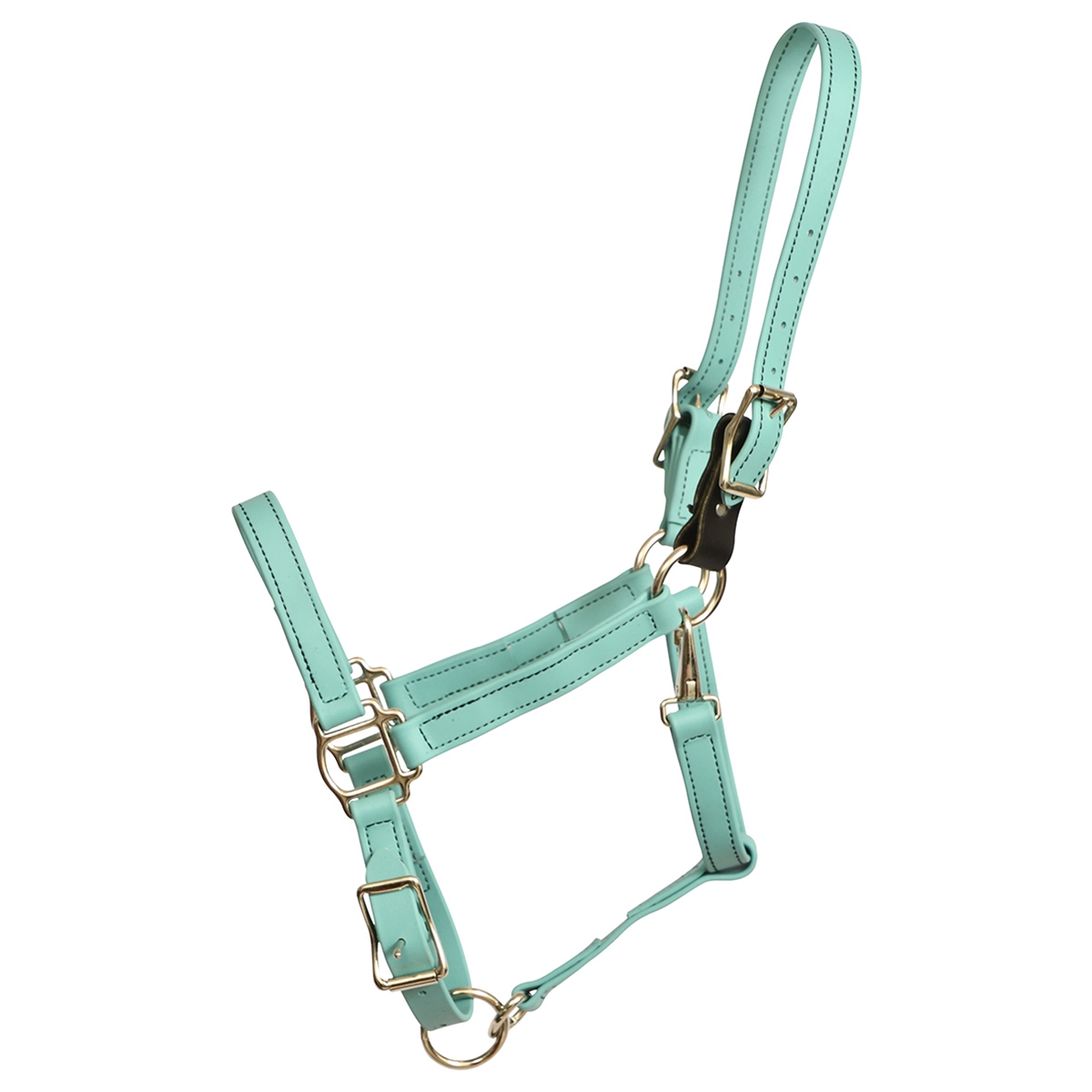 Two Horse Tack - ****PHOTO SAMPLE*** $25 Dusty Turquoise Beta Biothane ...