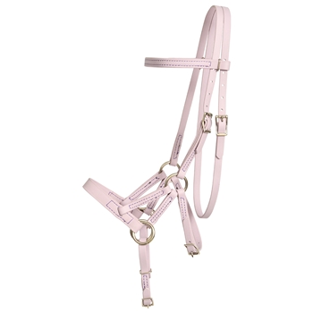 Two Horse Tack - ****PHOTO SAMPLE*** $30 Lavender Beta Biothane Sidepull Headstall with Purple ...